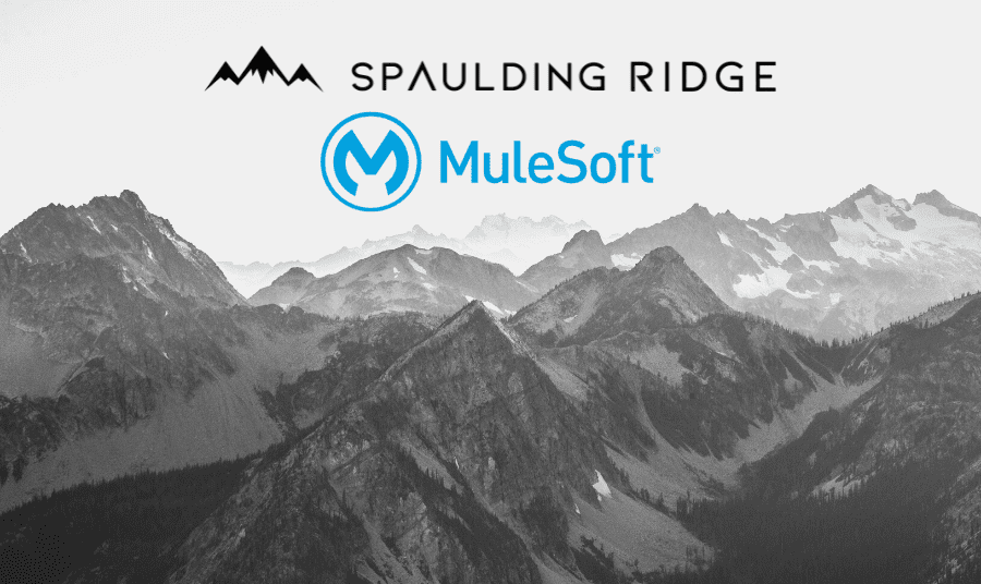 Spaulding Ridge Joins the MuleSoft Partner Program