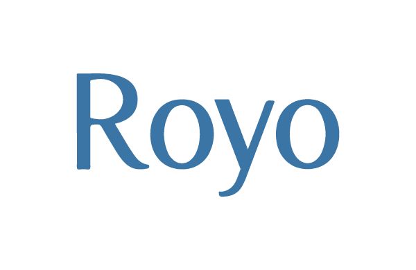 Transforming 130+ Spreadsheets into One Unified Source - Royo ...