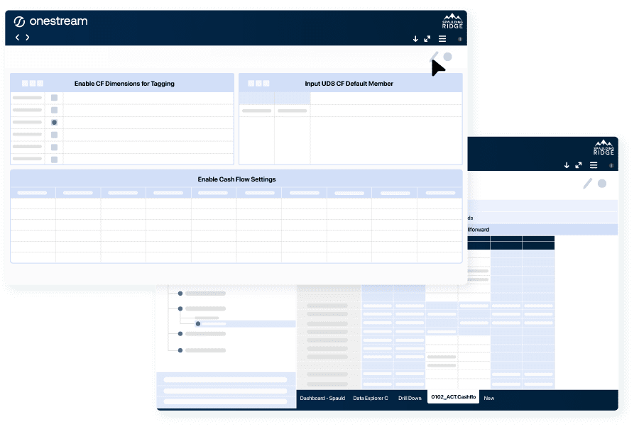 Dynamic Cash Flow for OneStream