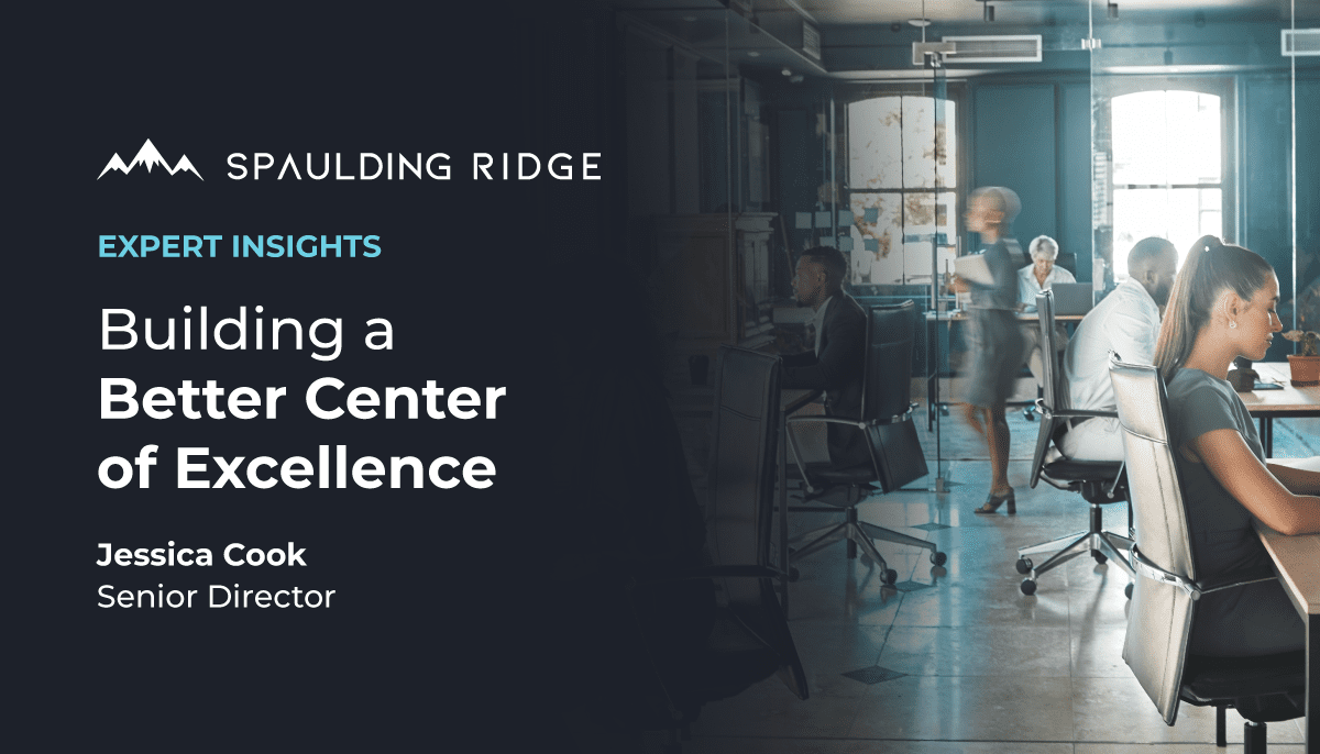 Building a Better Center of Excellence - Spaulding Ridge
